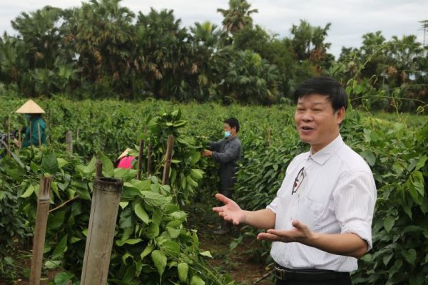 PGS.TS Trần Văn Ơn: Người gieo mầm cho vườn thuốc Việt Nam - Công ty Cổ ...